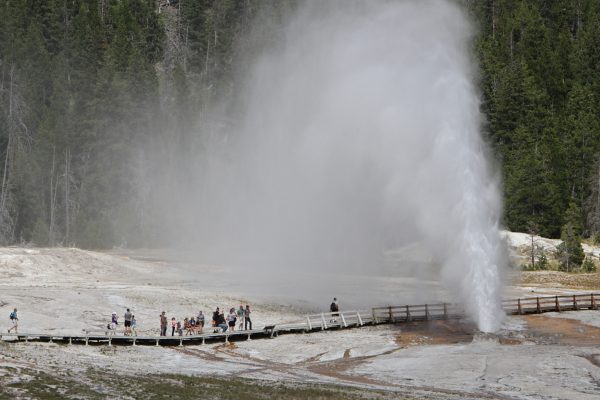Yellowstone National Park Fees, Reservations & Road Opening Dates (2026 ...